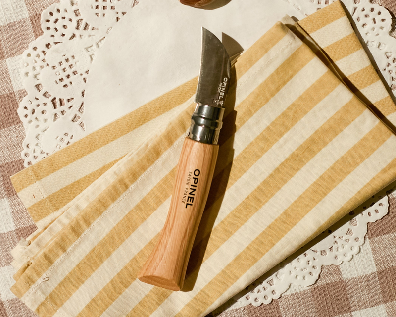 The Great Chestnut Experiment – Chestnut Scoring Knife | Goody