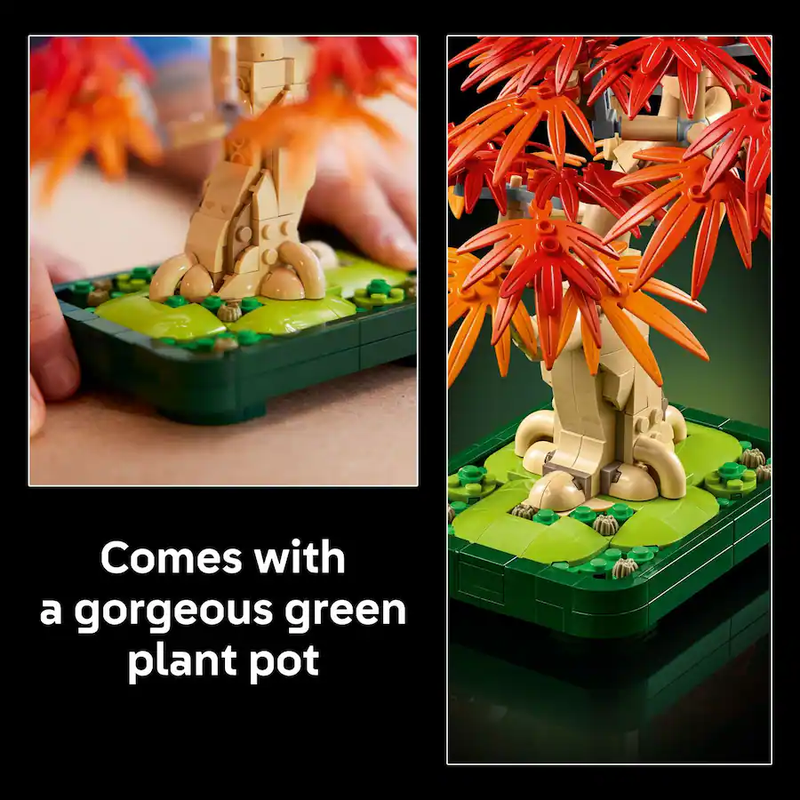 LEGO – Lego Botanicals: Japanese Red Maple Bonsai Tree | Goody