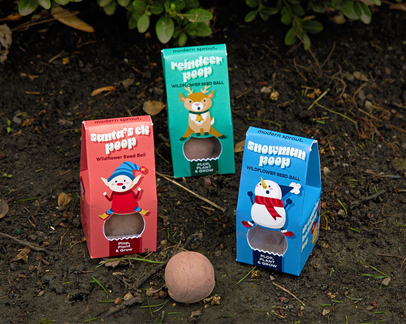 Modern Sprout – Jingle Plop Seed Ball, 3 Pack | Goody