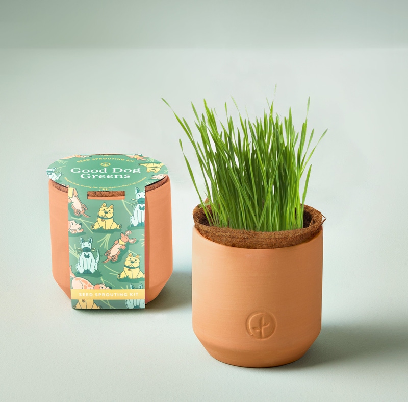 Modern Sprout – Pet Tiny Terracotta Grow Kits | Goody